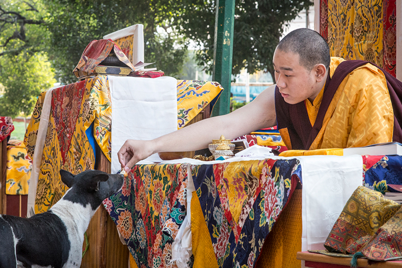 PRESENTATION | JAMGON KONGTRUL RINPOCHE